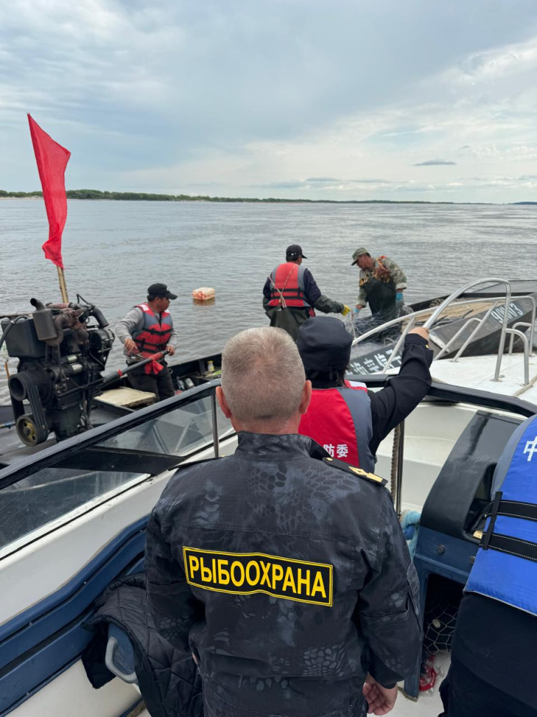 Охрана рыбных запасов трансграничных вод Среднего Амура под двойным ...